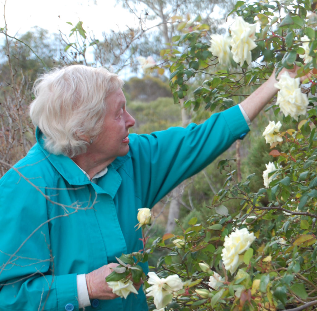Vale Noelene Drage – Heritage Roses in Australia